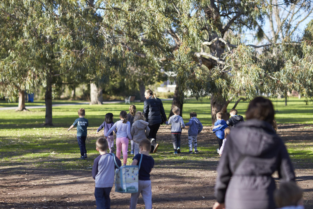 Bush Kinder – Learning in Nature – Wilson Street Kindergarten