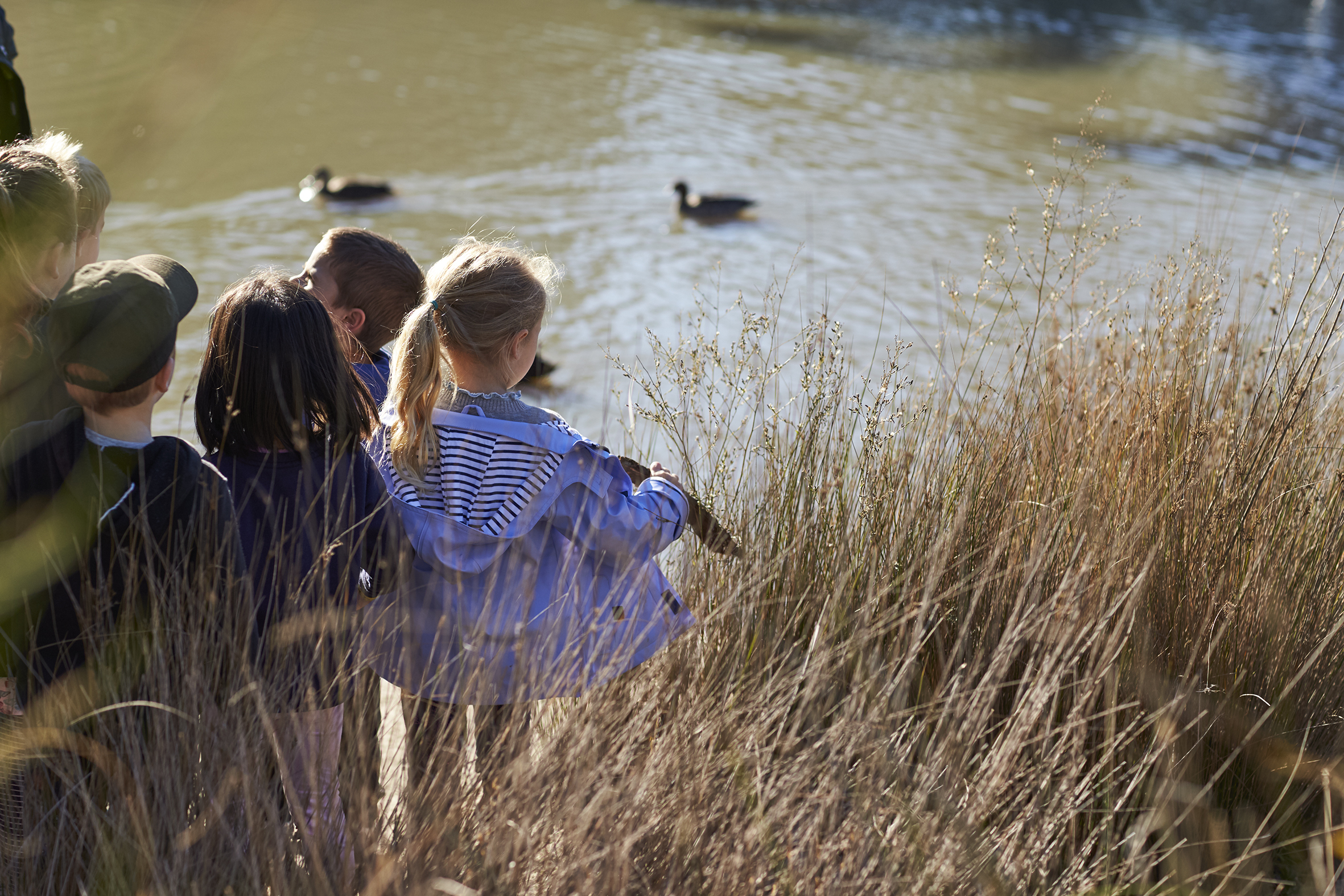 Bush Kinder – Learning in Nature – Wilson Street Kindergarten