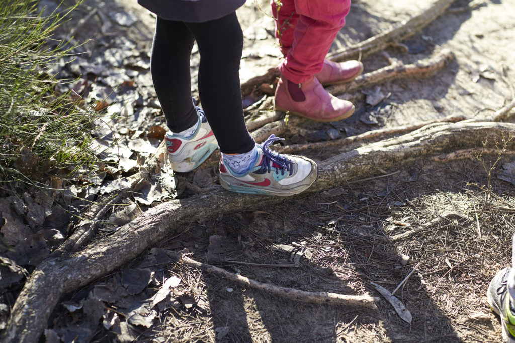 Bush Kinder – Learning in Nature – Wilson Street Kindergarten