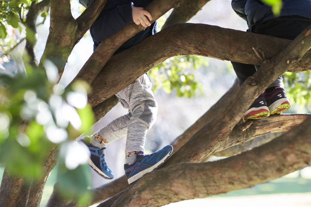 Bush Kinder – Learning in Nature – Wilson Street Kindergarten