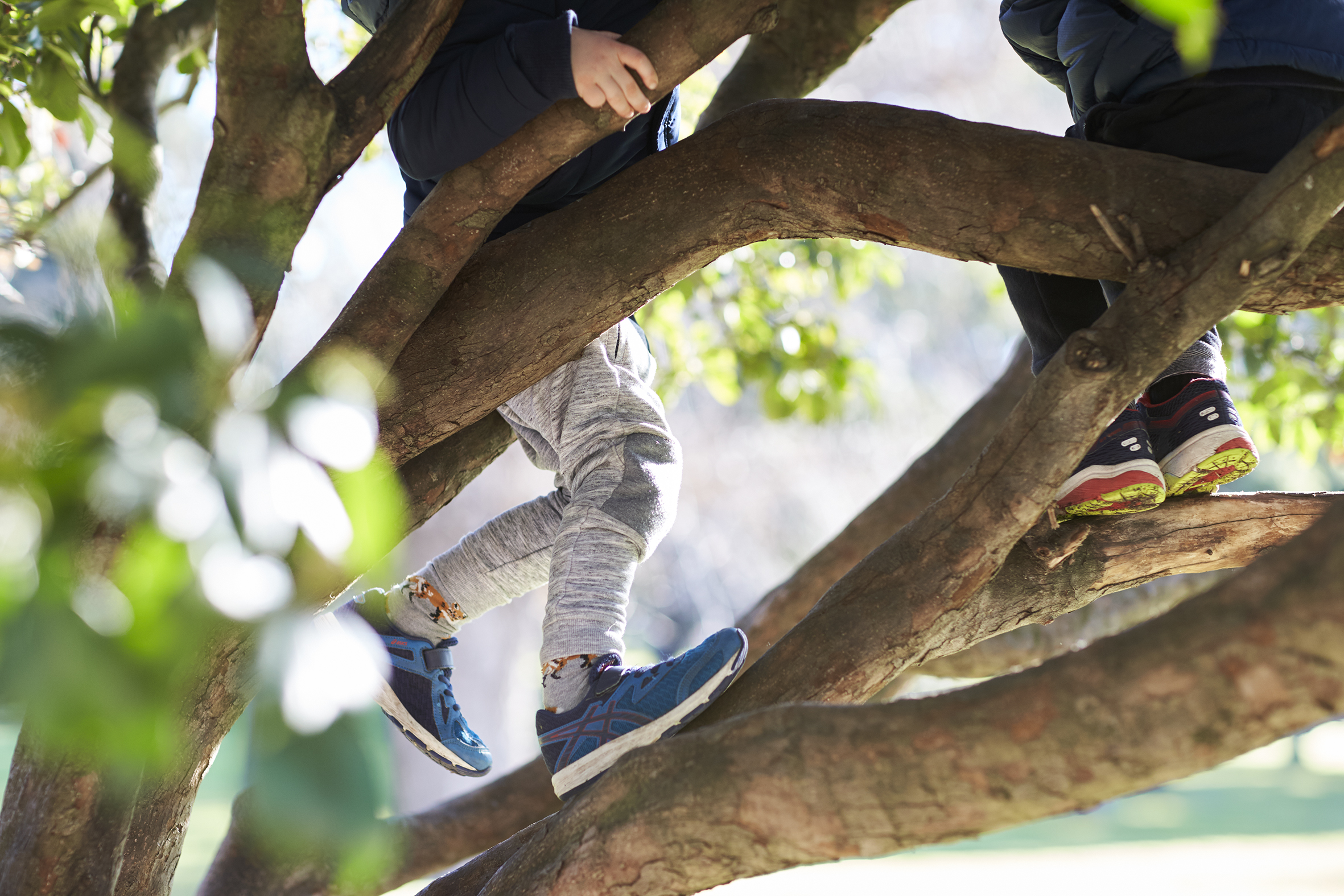 Bush Kinder – Learning in Nature – Wilson Street Kindergarten