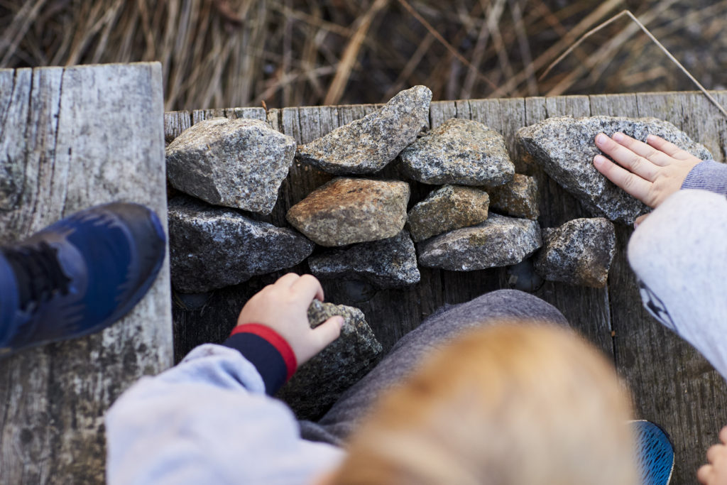Bush Kinder – Learning in Nature – Wilson Street Kindergarten