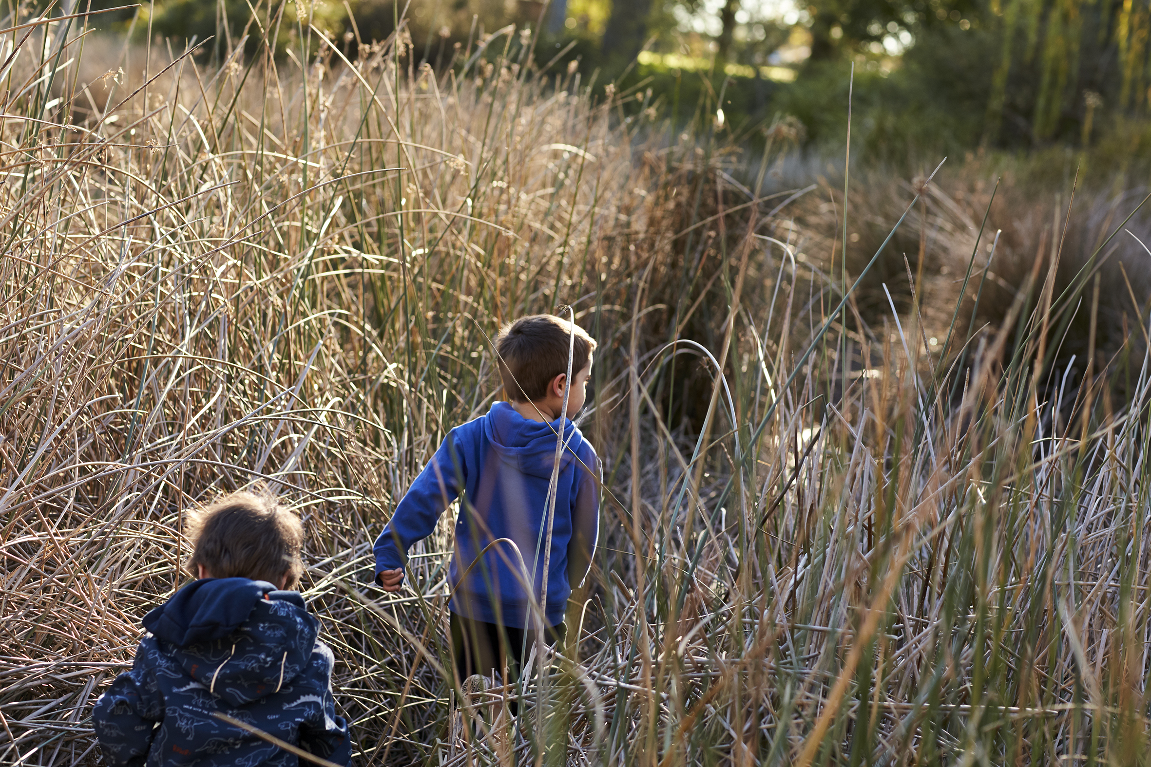 Bush Kinder – Learning in Nature – Wilson Street Kindergarten