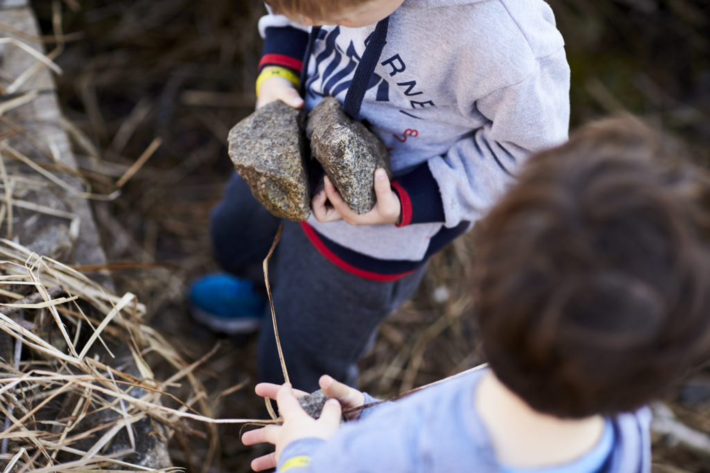 Bush Kinder – Learning in Nature – Wilson Street Kindergarten