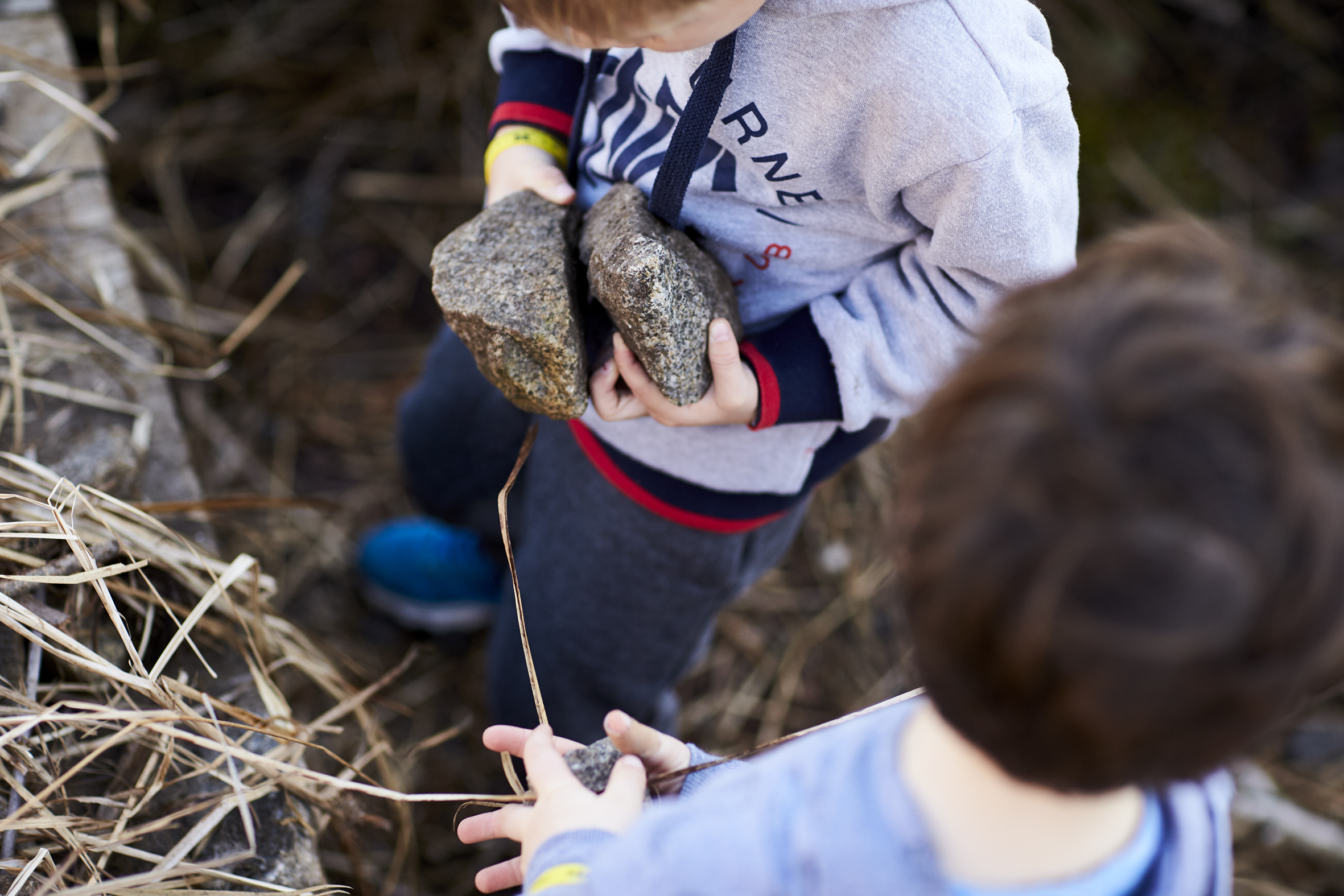 Bush Kinder – Learning in Nature – Wilson Street Kindergarten